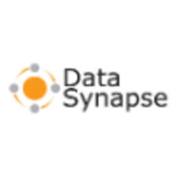 DataSynapse - Crunchbase Company Profile & Funding