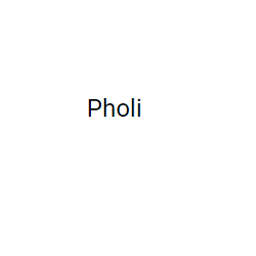 Pholi Experience - Crunchbase Company Profile & Funding