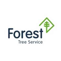 Forest Tree Service - Crunchbase Company Profile & Funding