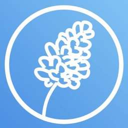 Keenoa - Crunchbase Company Profile & Funding