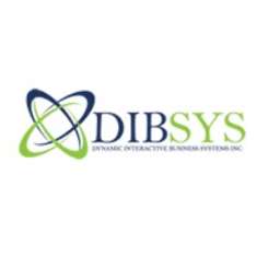 Dynamic Interactive Business Systems - Tech Details