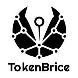 TokenBrice - Crunchbase Investor Profile & Investments