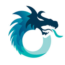 Dragon Information Systems - Crunchbase Company Profile & Funding