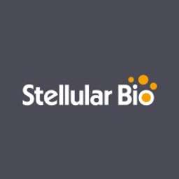 Stellular Bio - Crunchbase Company Profile & Funding