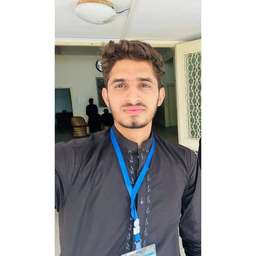 Ali Arain - Crunchbase Person Profile