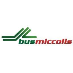 Miccolis - Tech Stack, Apps, Patents & Trademarks