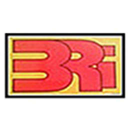 Balaji Rubber Industries