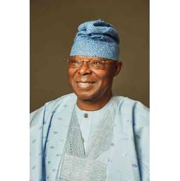 Dr. Ayoola Oba Otudeko - Crunchbase Person Profile