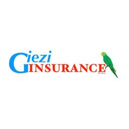 Giezi Insurance - Crunchbase Company Profile & Funding