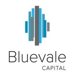 Bluevale Capital Group - Crunchbase Company Profile & Funding