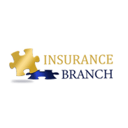 Insurance Branch - Crunchbase Company Profile & Funding