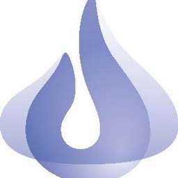 Stemina Biomarker Discovery - Financial Details