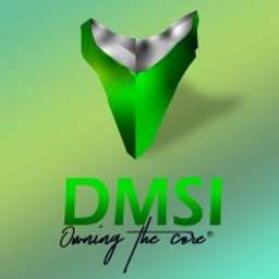 DMSI International