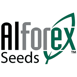 Alforex Seeds - Crunchbase Company Profile & Funding