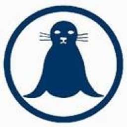 PLASMOR - Tech Details