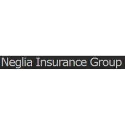 Neglia Insurance - Tech Details