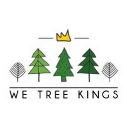 We Tree Kings - Crunchbase Company Profile & Funding