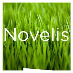 Novelis - Crunchbase Company Profile & Funding