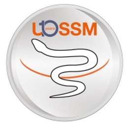 UOSSM
