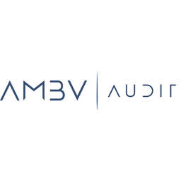 Ambv Audit - Crunchbase Company Profile & Funding