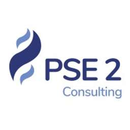 PSE2 Consulting - Tech Details