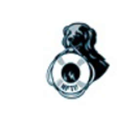 NewFound Technologies - Crunchbase Company Profile & Funding