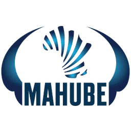 Mahube Infrastructure - Crunchbase Company Profile & Funding