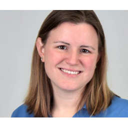 Allison Lehman - VP, Application Development @ WingSwept - Crunchbase ...