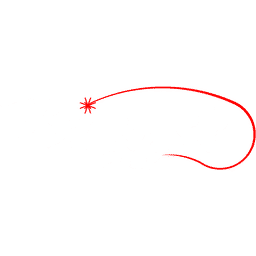 Bicast - Crunchbase Company Profile & Funding