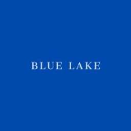 BlueLake - Crunchbase Company Profile & Funding