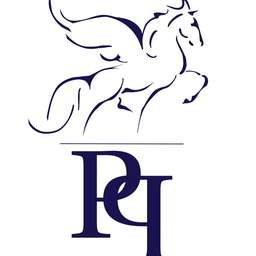 Pegase Partners - Crunchbase Company Profile & Funding