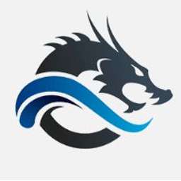 Dragon Internet Marketing - Crunchbase Company Profile & Funding