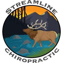 Streamline Chiropractic - Crunchbase Company Profile & Funding
