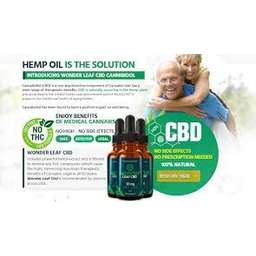 2023 Wonder Leaf CBD - 2022-12-30 - Crunchbase Event Profile