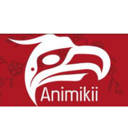 Animikii Indigenous Technology - Crunchbase Company Profile & Funding