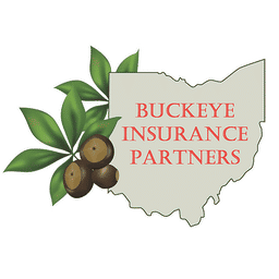 Buckeye Insurance Partners - Crunchbase Company Profile & Funding