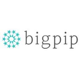Big Pip Marketing - Profiles & Contacts