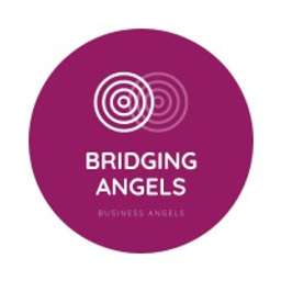 Bridging Angels - Tech Details