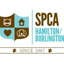 Hamilton Burlington SPCA - Crunchbase Company Profile & Funding