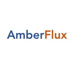 Amber Flux Pvt Ltd - Profiles & Contacts