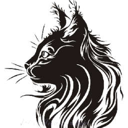 Jojo Fashion - Tech Details