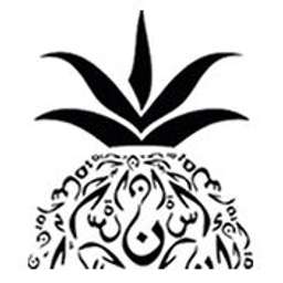 Ananasa - Tech Details