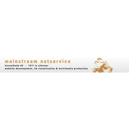 Mainstream Netservice - Tech Details