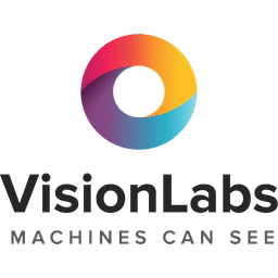 VisionLabs B.V. - News & Analysis
