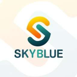 SkyBlue Motor - Crunchbase Company Profile & Funding