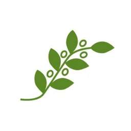 Wendt Center for Loss and Healing