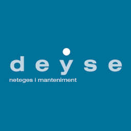 Deyse - Crunchbase Company Profile & Funding