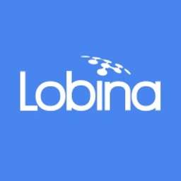 Lobina Transport - Crunchbase Company Profile & Funding