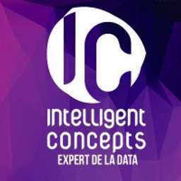 Intelligent Concepts - Tech Details