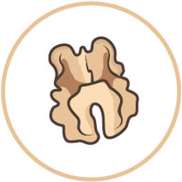 Nut studio - Crunchbase Company Profile & Funding